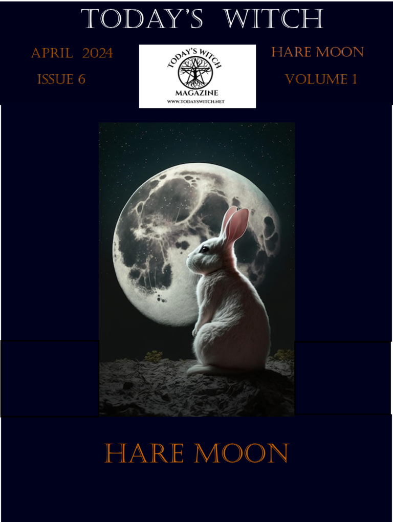 Today’s Witch – Distribution